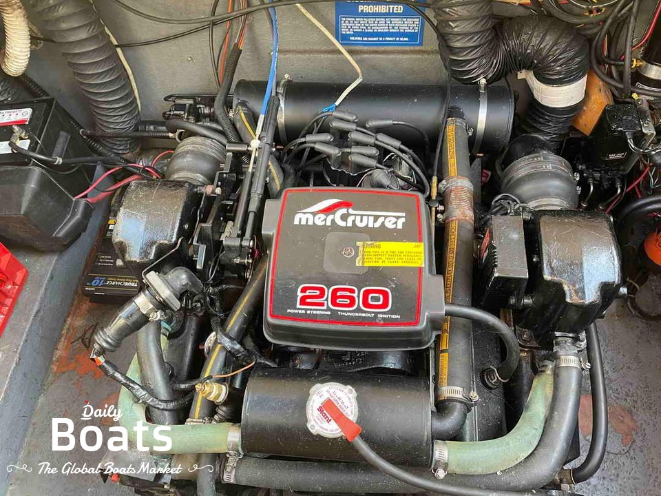 1989 Sea Ray 260 Sundancer for sale. View price, photos and Buy 1989 ...