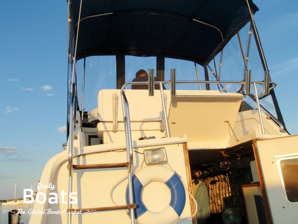 1985 Phoenix 29 Convertible for sale. View price, photos and Buy 1985 ...