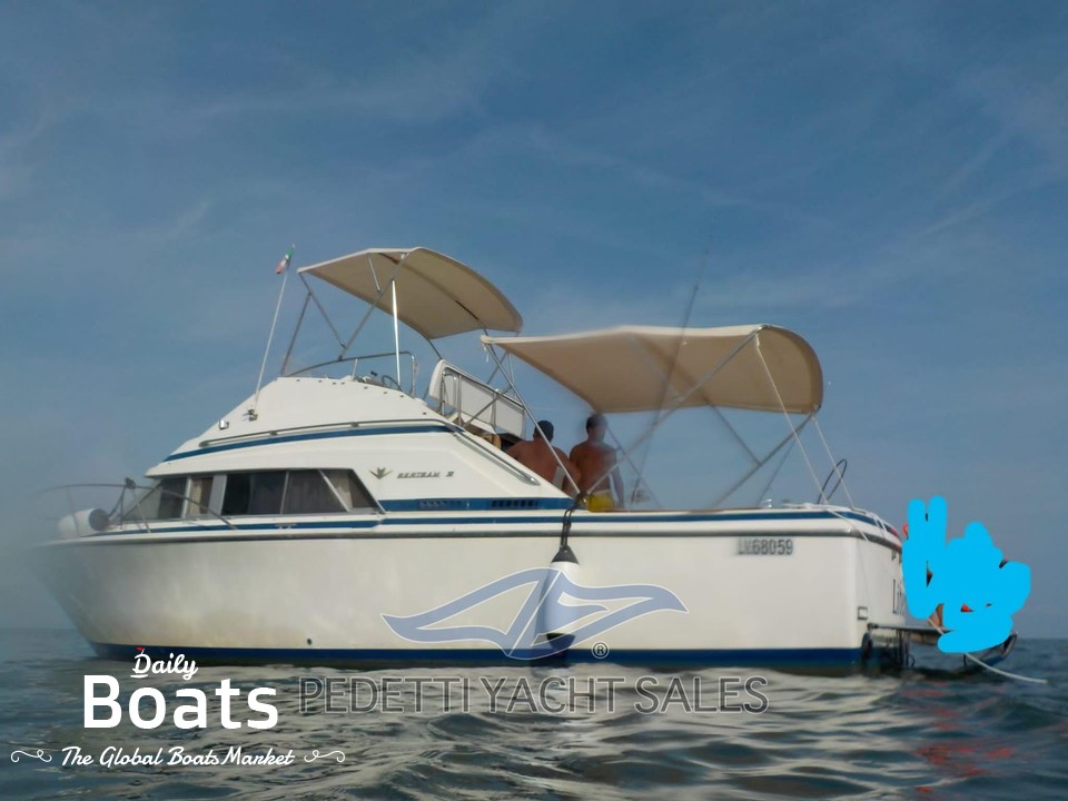 1980 Bertram 30 Flybridge Cruiser for sale. View price, photos and Buy ...