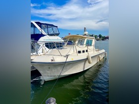 Albin 28 for sale - Daily Boats