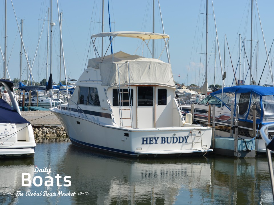 1982 Bertram 33 Flybridge Cruiser for sale. View price, photos and Buy ...