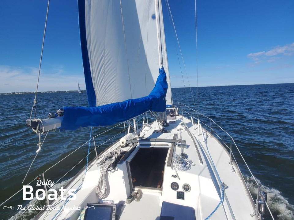 1987 CAL 33 for sale. View price, photos and Buy 1987 CAL 33 #326040