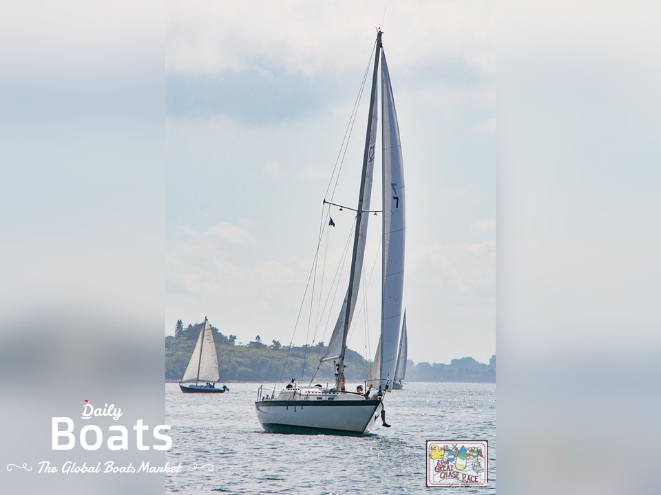 1968 Raider 35 for sale. View price, photos and Buy 1968 Raider 35 #328587