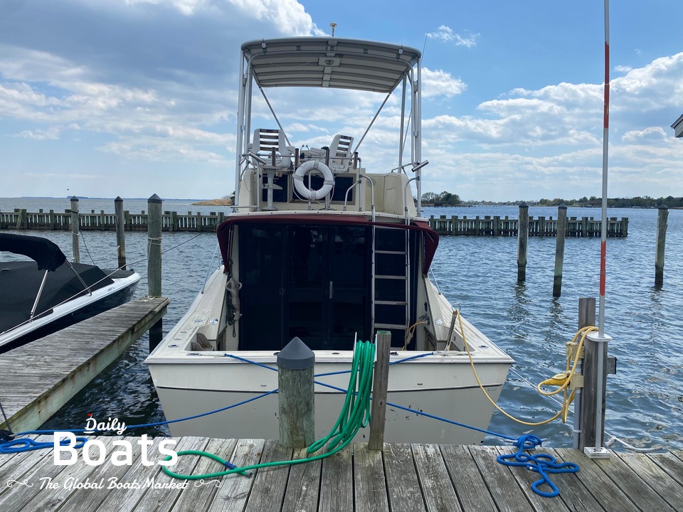 1974 Viking 33 for sale. View price, photos and Buy 1974 Viking 33 #329263