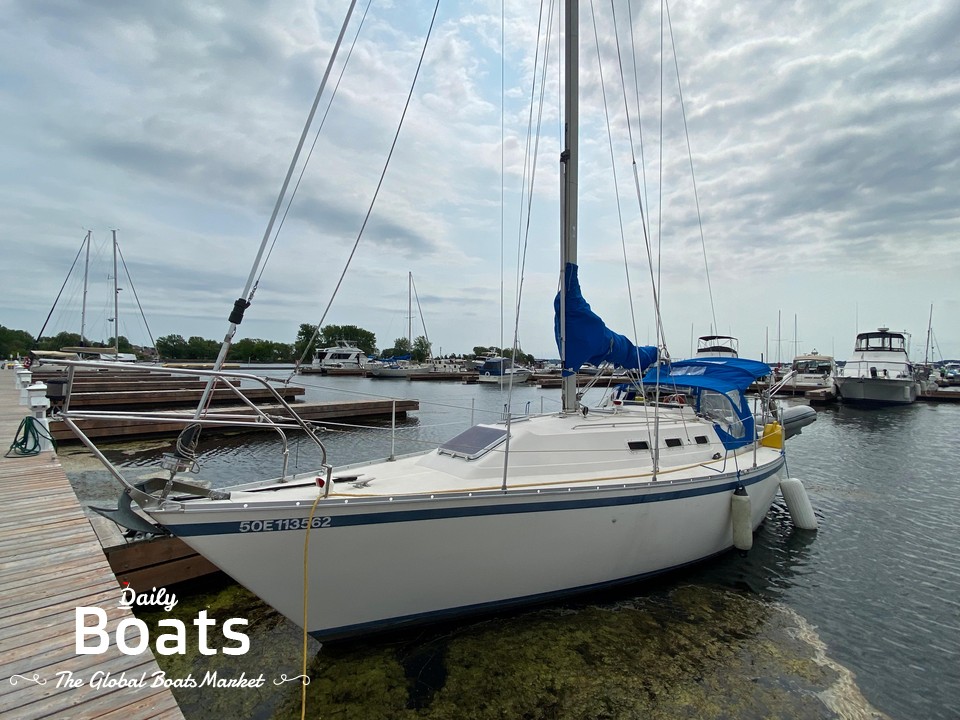 1983 CS 33 for sale. View price, photos and Buy 1983 CS 33 #330053