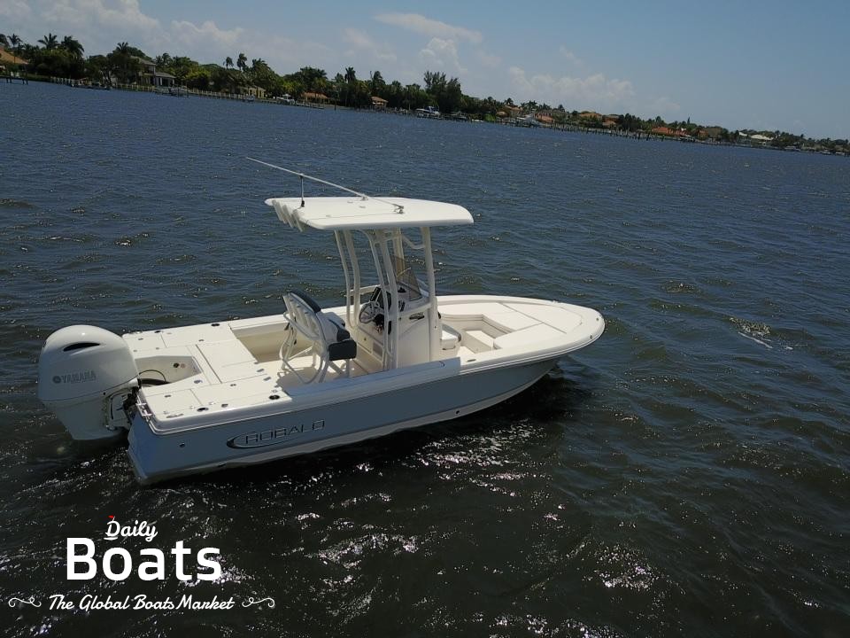 2019 Robalo 226 Cayman for sale. View price, photos and Buy 2019 Robalo ...