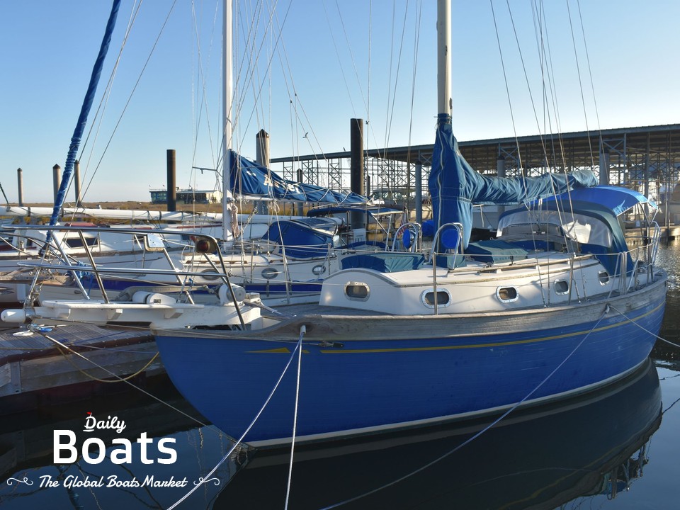 1984 Baba 30 for sale. View price, photos and Buy 1984 Baba 30 #330466