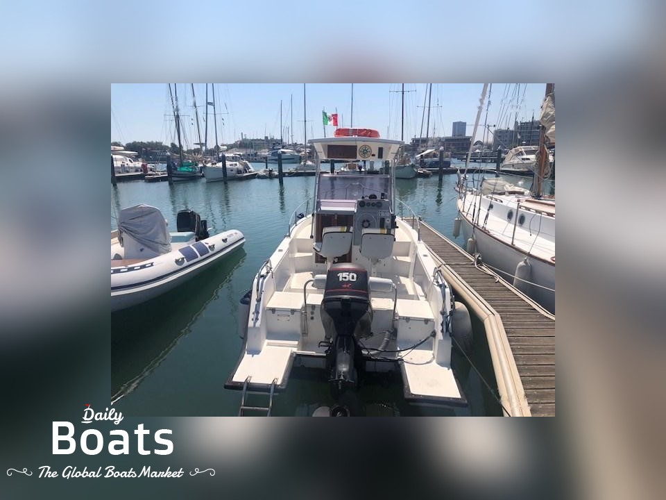 1994 Custom Cantieri Longo Sea Gull 600 for sale. View price, photos ...