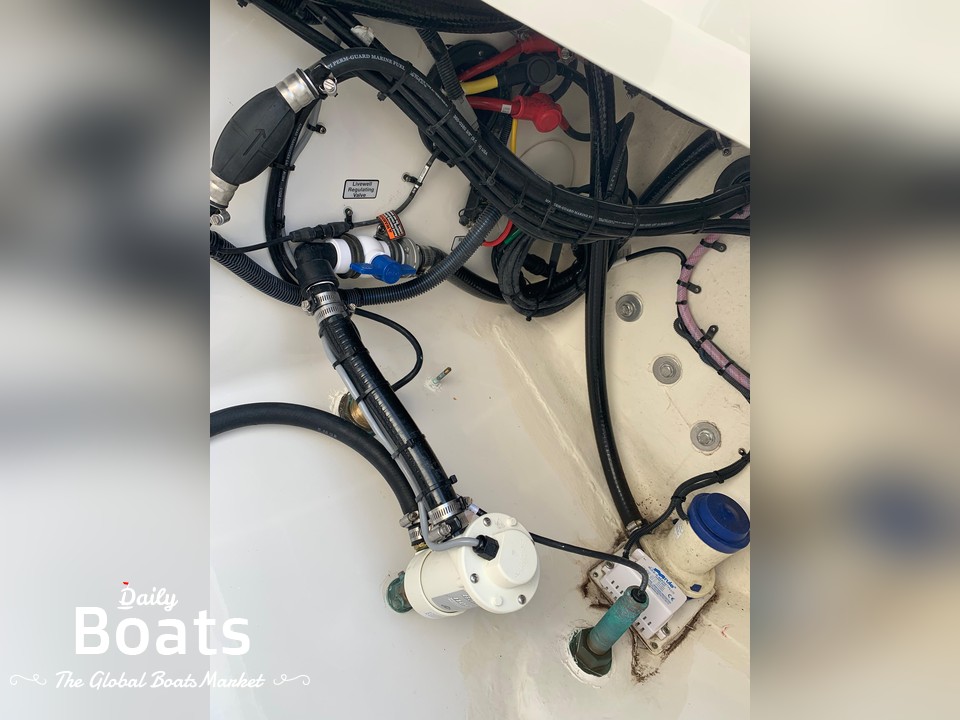 2019 Regulator 31 Fs for sale. View price, photos and Buy 2019 ...