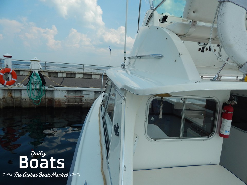 1972 Bertram 31 Flybridge Cruiser for sale. View price, photos and Buy ...