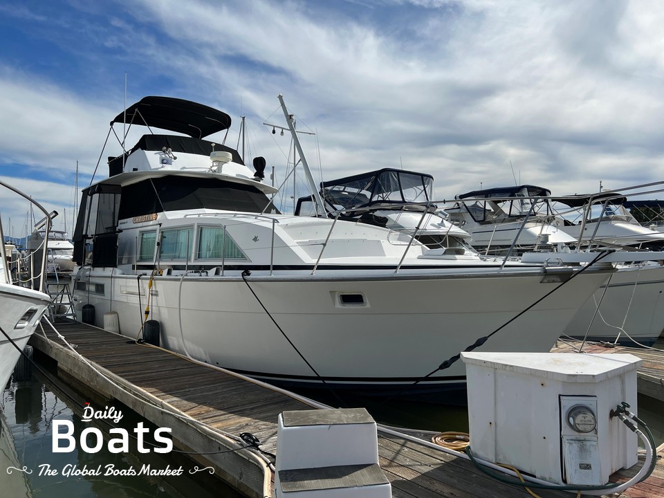 Yachts Bertram flybridge for sale - Daily Boats