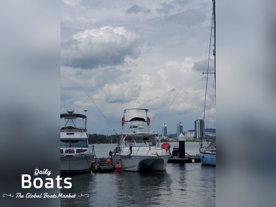 2004 ProKat 3660 Sportfisher for sale. View price, photos and Buy 2004 ...