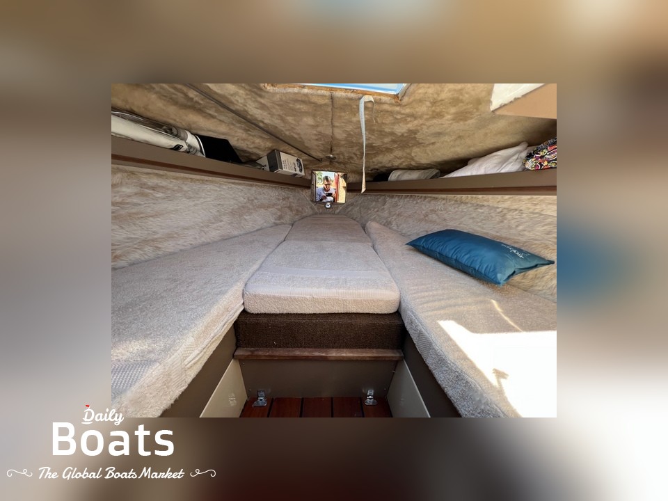 Formula Boats Thunderbird 20 Gl for sale. View price, photos and Buy ...