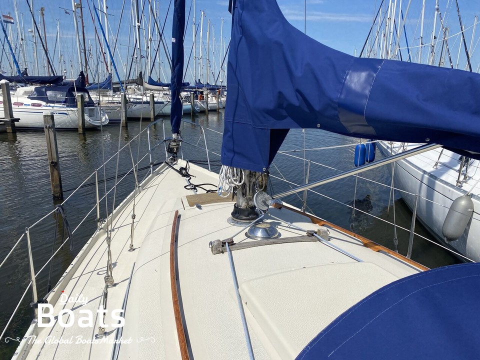 Albin Marin Ballad for sale. View price, photos and Buy Albin Marin ...