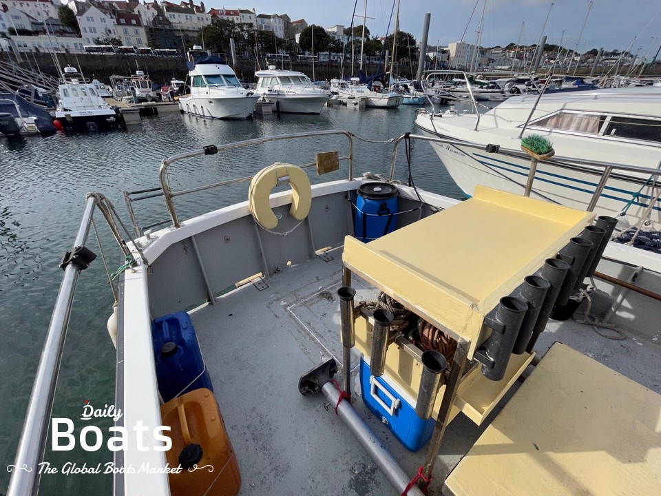 2002 Starfish 8 for sale. View price, photos and Buy 2002 Starfish 8 ...