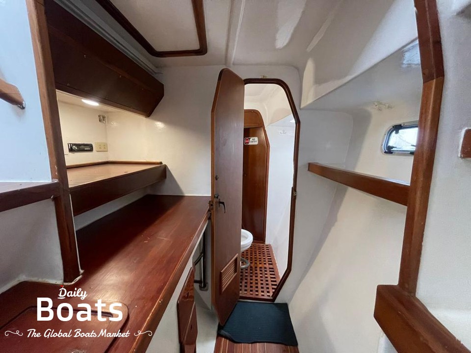 2001 Custom Sailing Catamaran 42' for sale. View price, photos and Buy ...