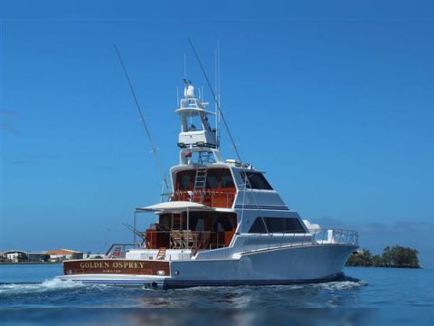 1993 Knight & Carver Custom Sports Fish for sale. View price, photos ...