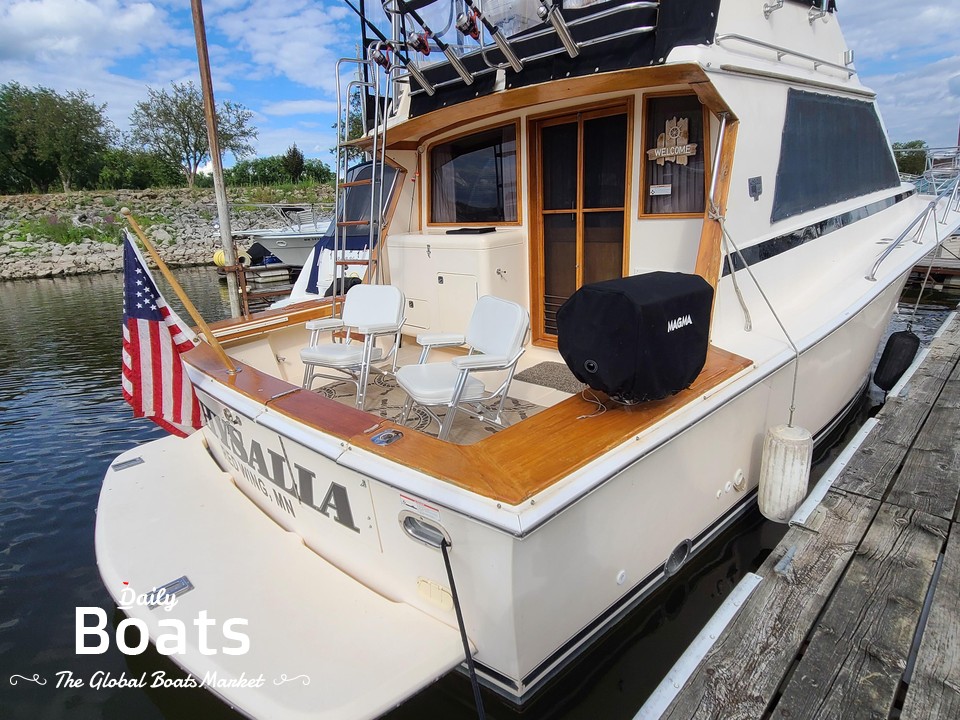 1991 Pacemaker 37 Convertable for sale. View price, photos and Buy 1991 ...