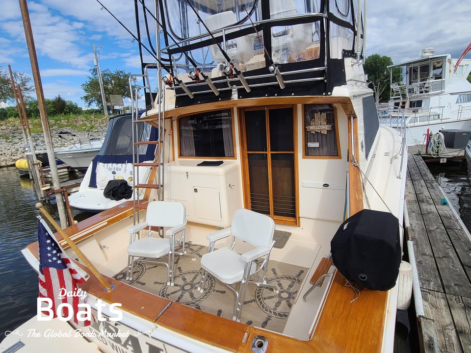 1991 Pacemaker 37 Convertable for sale. View price, photos and Buy 1991 ...