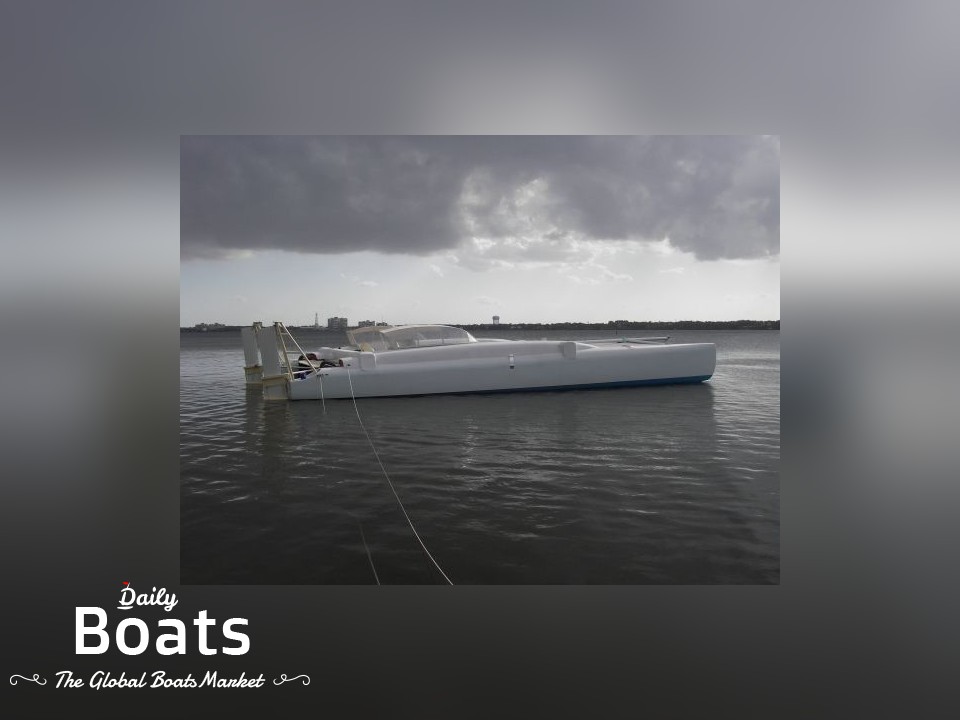 Multihull boats Custom catamaran for sale - Daily Boats