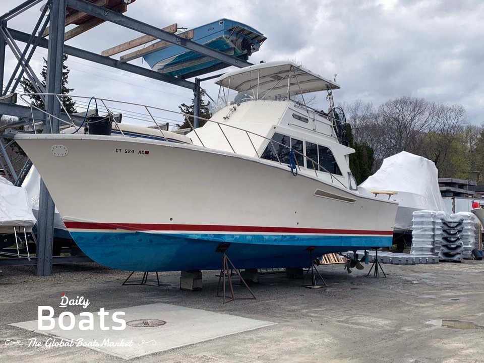 1974 Jersey Convertible Sportfish for sale. View price, photos and Buy ...