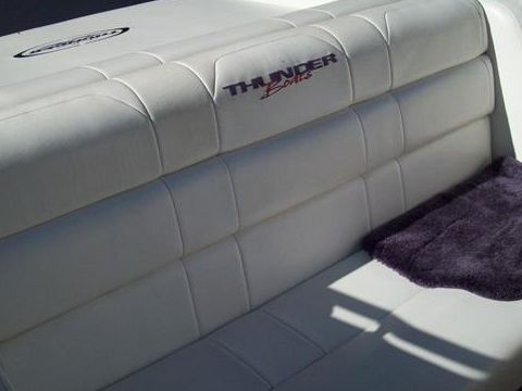 1996 Active Thunder 25 Tantrum for sale. View price, photos and Buy ...