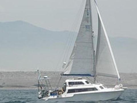 1994 Catalac 900 for sale. View price, photos and Buy 1994 Catalac 900 ...