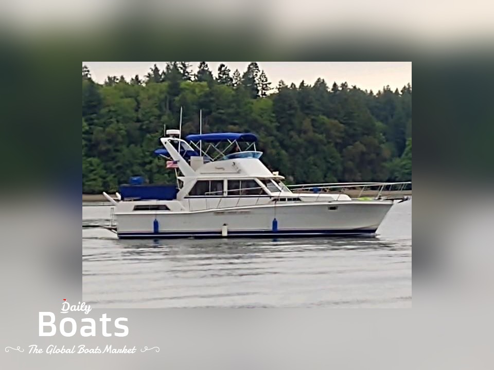 Yachts Uniflite double cabin for sale - Daily Boats