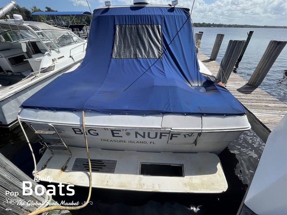 1986 Sea Ray Boats 460 Express Cruiser for sale. View price, photos and ...