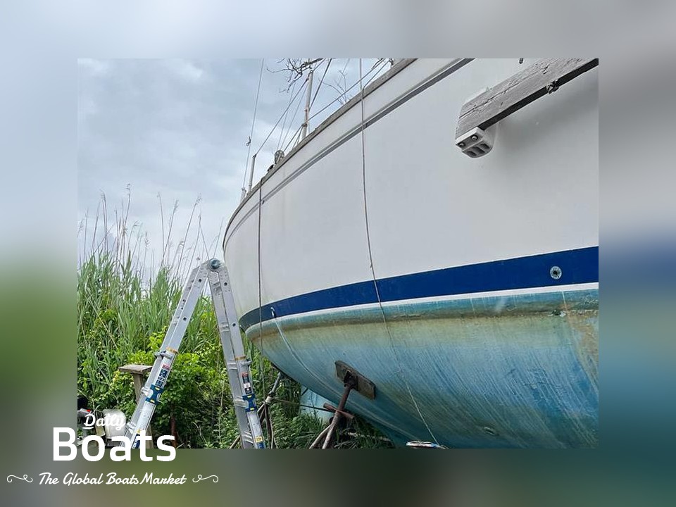 1977 Pearson 365 for sale. View price, photos and Buy 1977 Pearson 365 ...