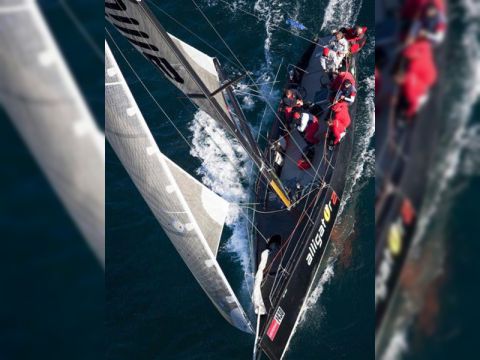 2005 Pauger Rc 44 for sale. View price, photos and Buy 2005 Pauger Rc ...