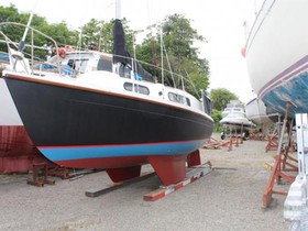 Snapdragon 24 for sale. View price, photos and Buy Snapdragon 24 #349271