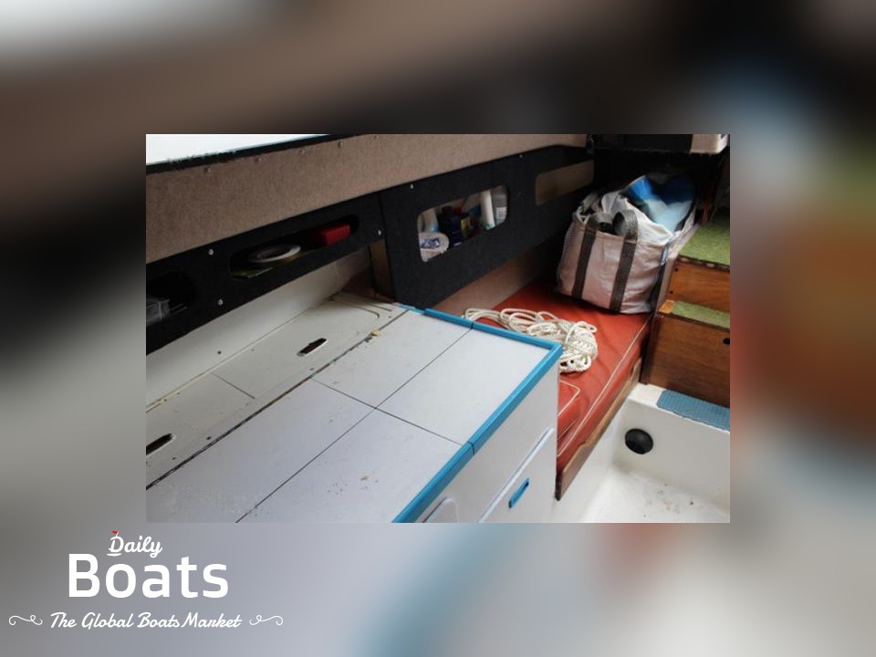 Snapdragon 24 for sale. View price, photos and Buy Snapdragon 24 #349271