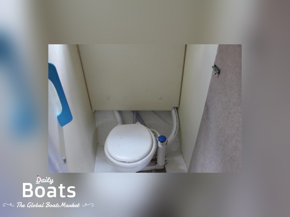 Snapdragon 24 for sale. View price, photos and Buy Snapdragon 24 #349271