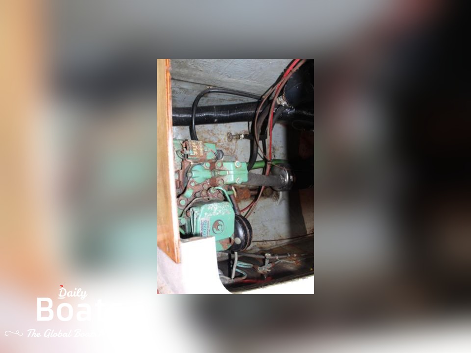 Snapdragon 24 for sale. View price, photos and Buy Snapdragon 24 #349271