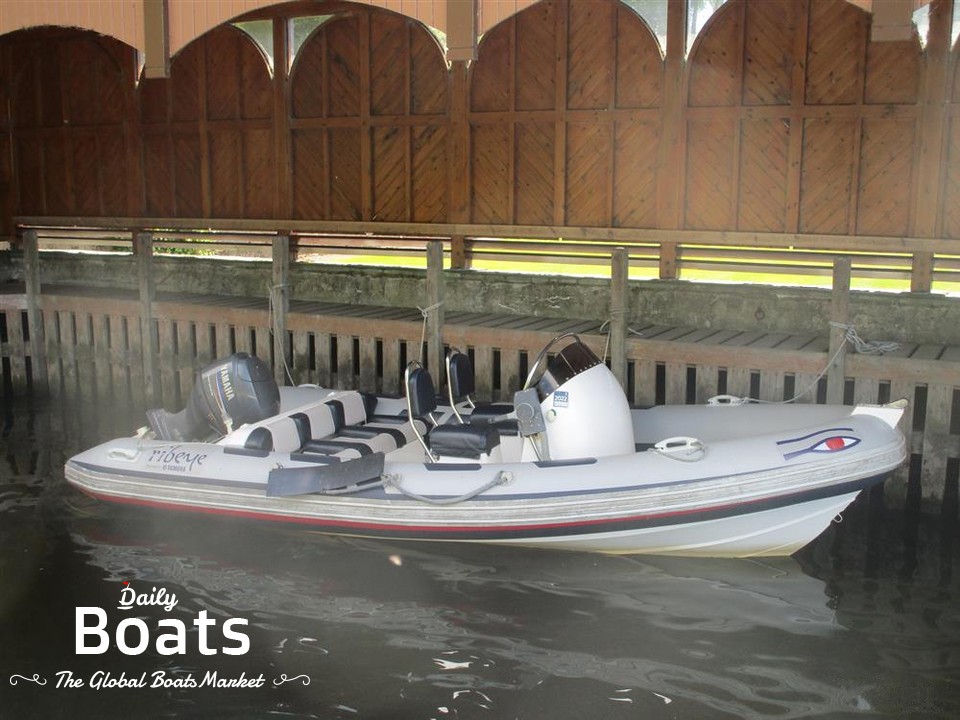 2004 Ribeye Playtime 500 for sale. View price, photos and Buy 2004 ...