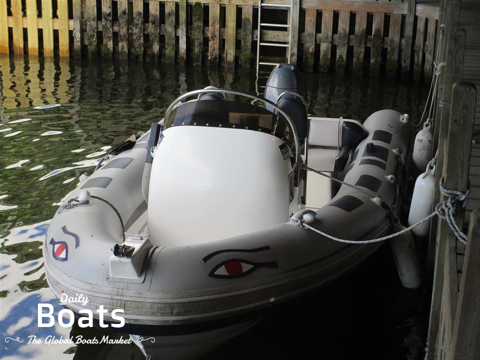 2004 Ribeye Playtime 500 for sale. View price, photos and Buy 2004 ...