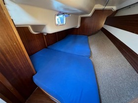 Atlantic 31 for sale. View price, photos and Buy Atlantic 31 #350479