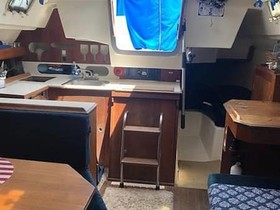 1985 Hunter 31 for sale. View price, photos and Buy 1985 Hunter 31 #351562