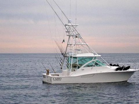 2010 Cabo 36 Express for sale. View price, photos and Buy 2010 Cabo 36 ...