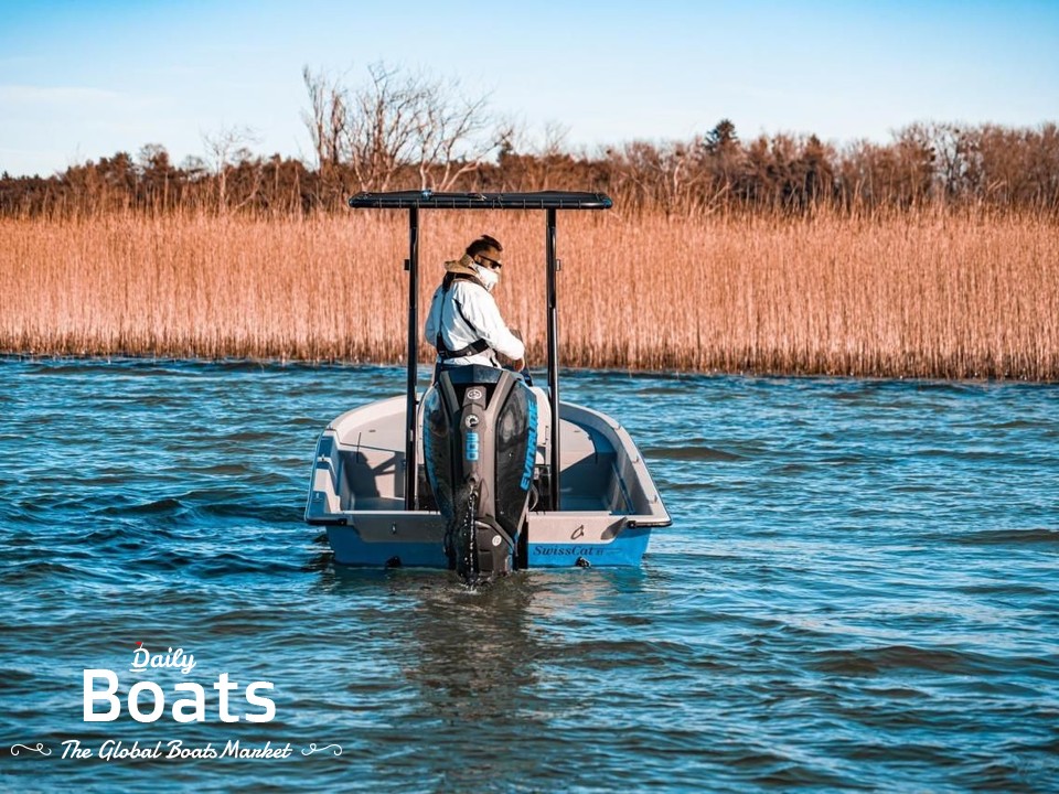 2020 Swiss Cat 21 for sale. View price, photos and Buy 2020 Swiss Cat ...