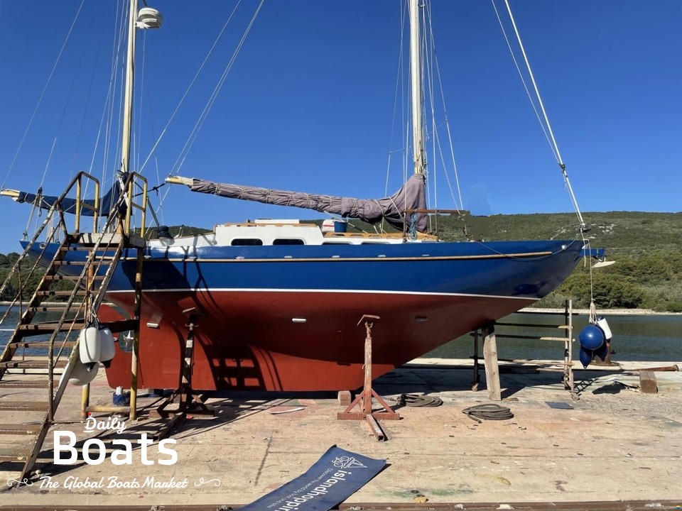 Van Dam One off for sale | View price, photos and Buy Van Dam One off