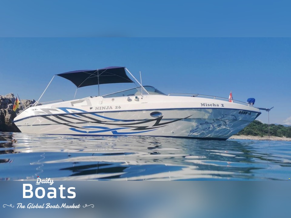 Offshore daycruiser mit trailer 2.8 ton for sale - Daily Boats