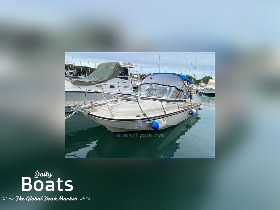 1982 Boston Whaler 20 Revenge for sale. View price, photos and Buy 1982 ...