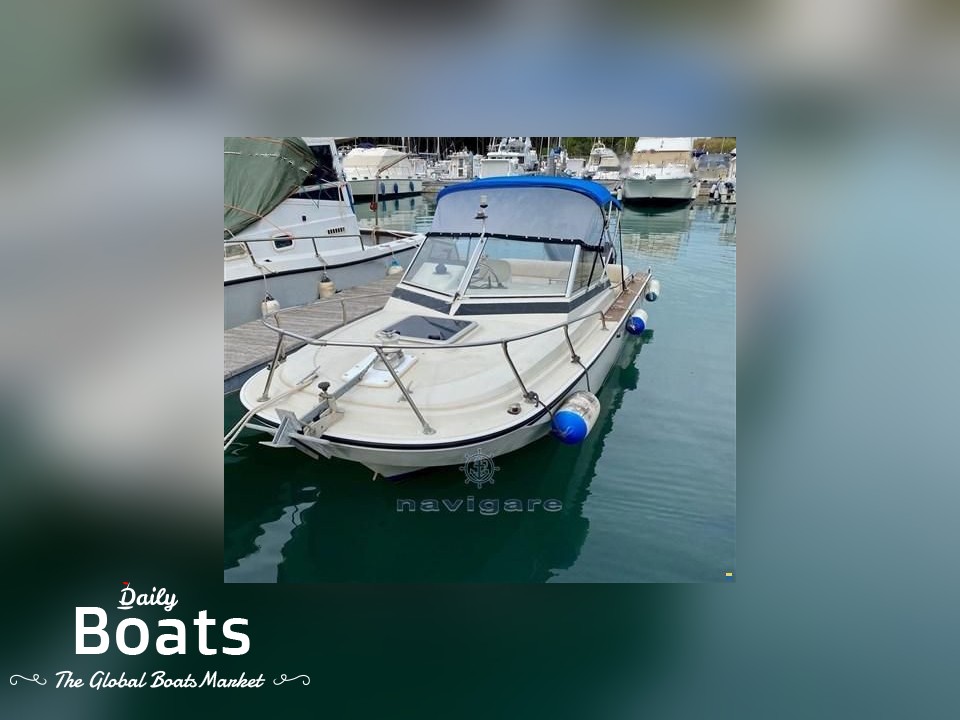 1982 Boston Whaler 20 Revenge for sale. View price, photos and Buy 1982 ...