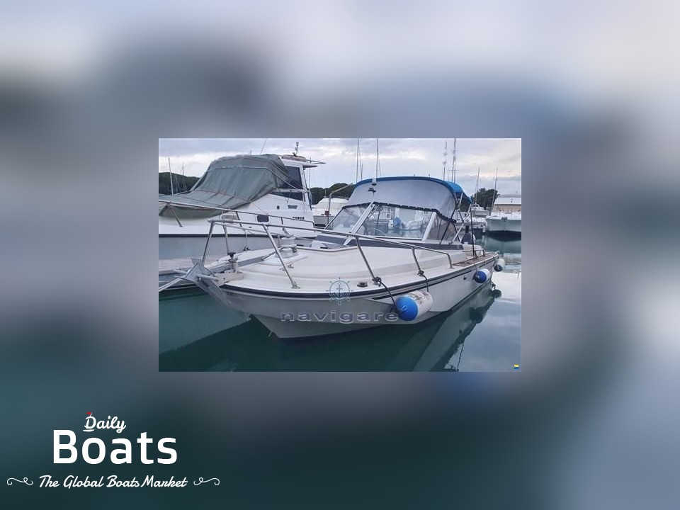 1982 Boston Whaler 20 Revenge for sale. View price, photos and Buy 1982 ...