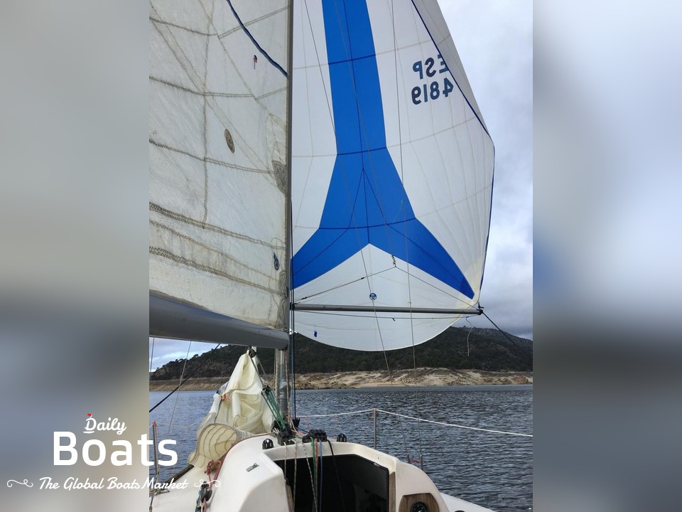 1998 Astraea Brenta 24 for sale. View price, photos and Buy 1998 Astraea Brenta 24 #353502