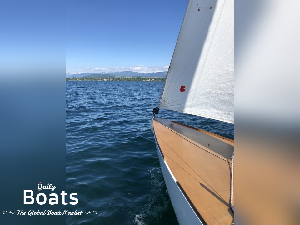 1973 Luthi Flying Forty Sport for sale. View price, photos and Buy 1973 ...