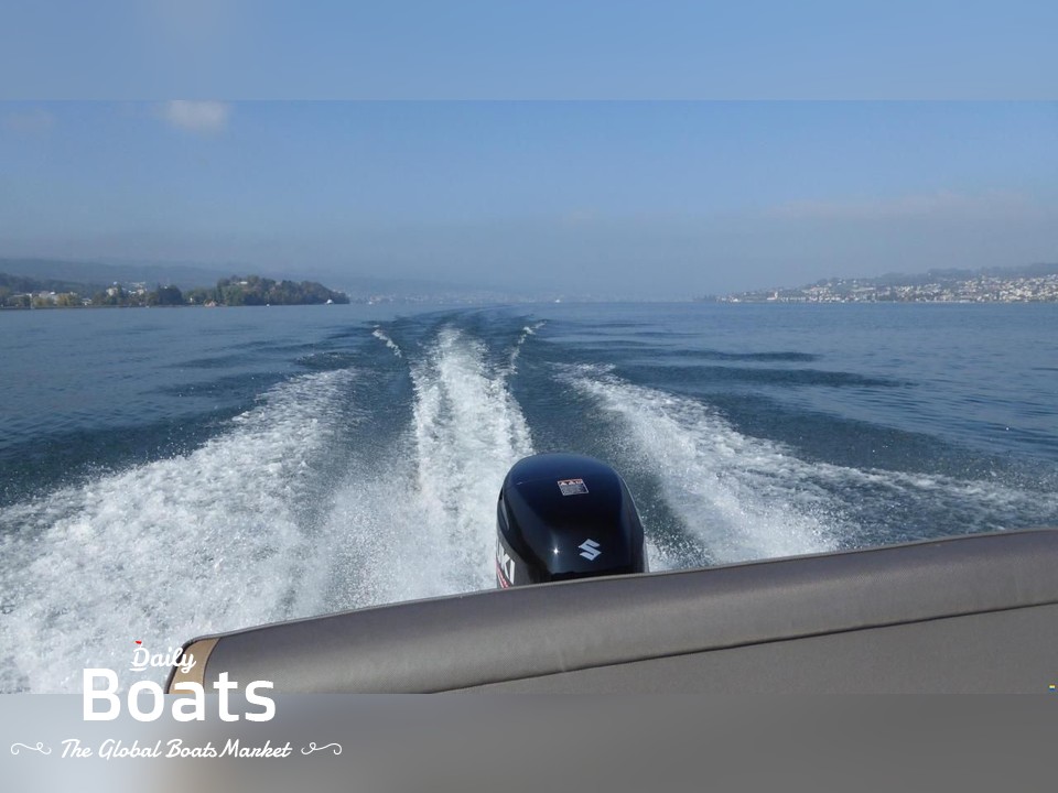 2022 Silver Fox Br 495 (Alu/Gfk) for sale. View price, photos and Buy ...