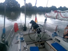 1995 Bjørn Olsen 38 for sale. View price, photos and Buy 1995 Bjørn ...